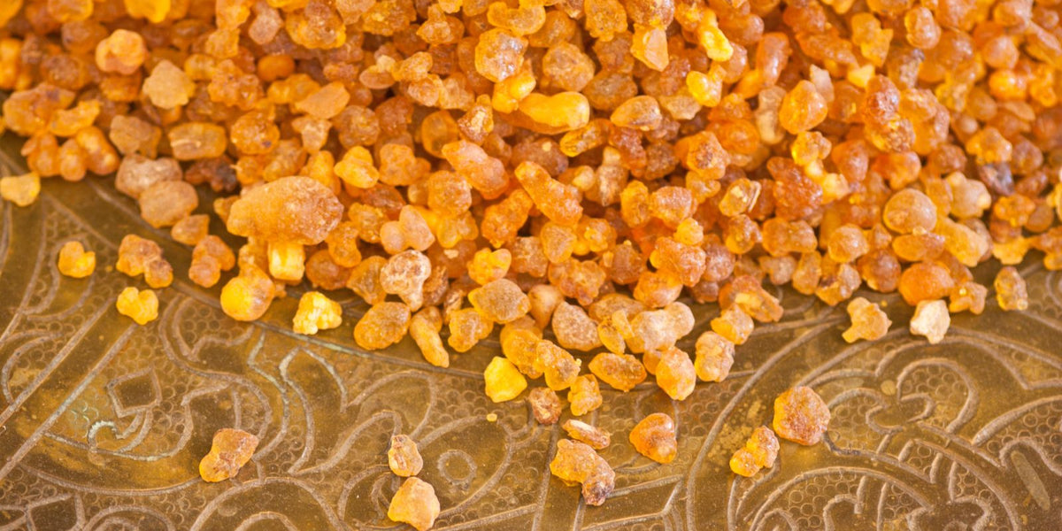 What Does Frankincense Smell Like? Know Its Unique Scent