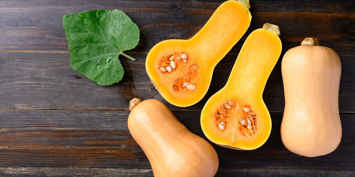 When to Harvest Butternut Squash: Signs and Best Timing