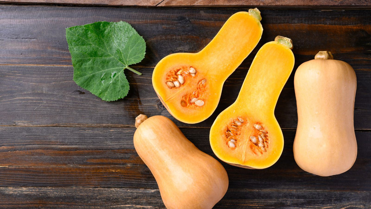When to Pick Butternut Squash from Garden: Perfect Timing - My Backyard ...