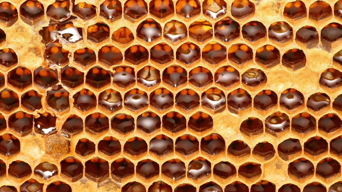 Is Honey Flammable? Tests, Temperatures, and Truth Explained