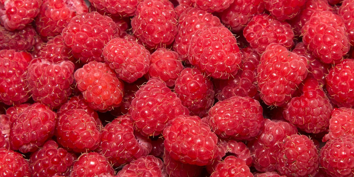 How to Wash Raspberries Without Ruining Their Shape or Taste