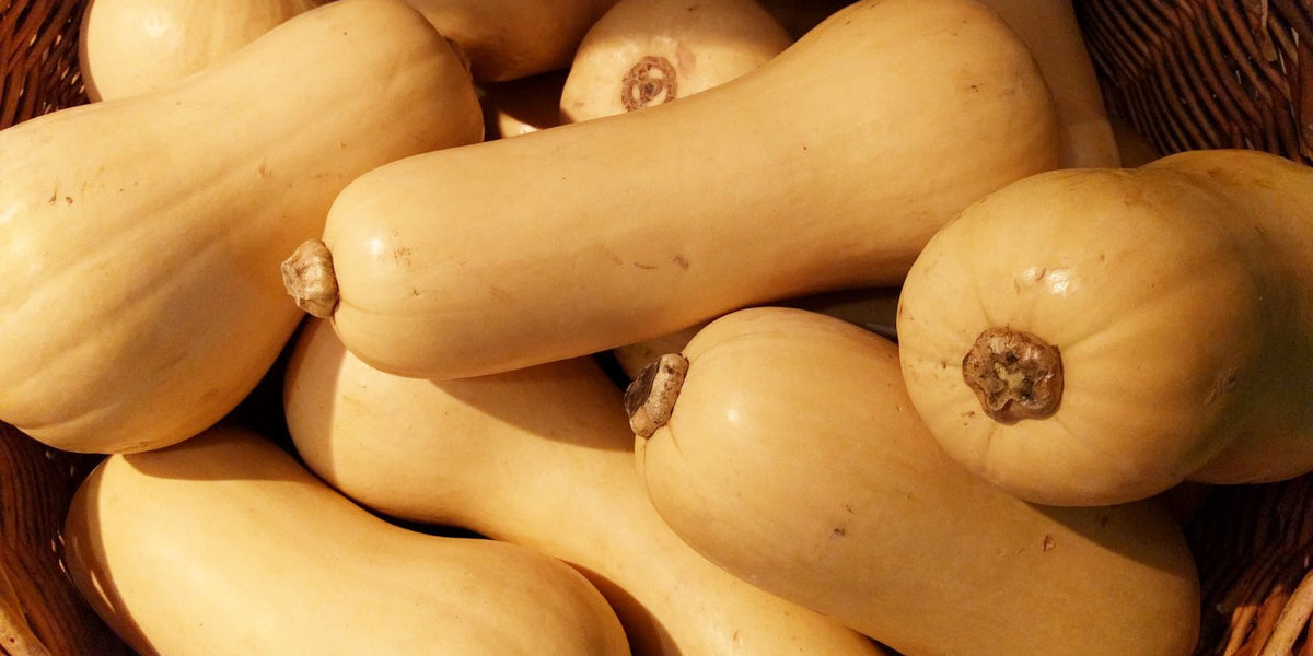 What Does Butternut Squash Taste Like? Complete Flavor Guide