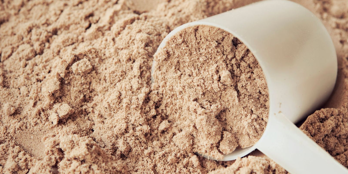 How Long Does a Protein Powder Last? Find Out Here