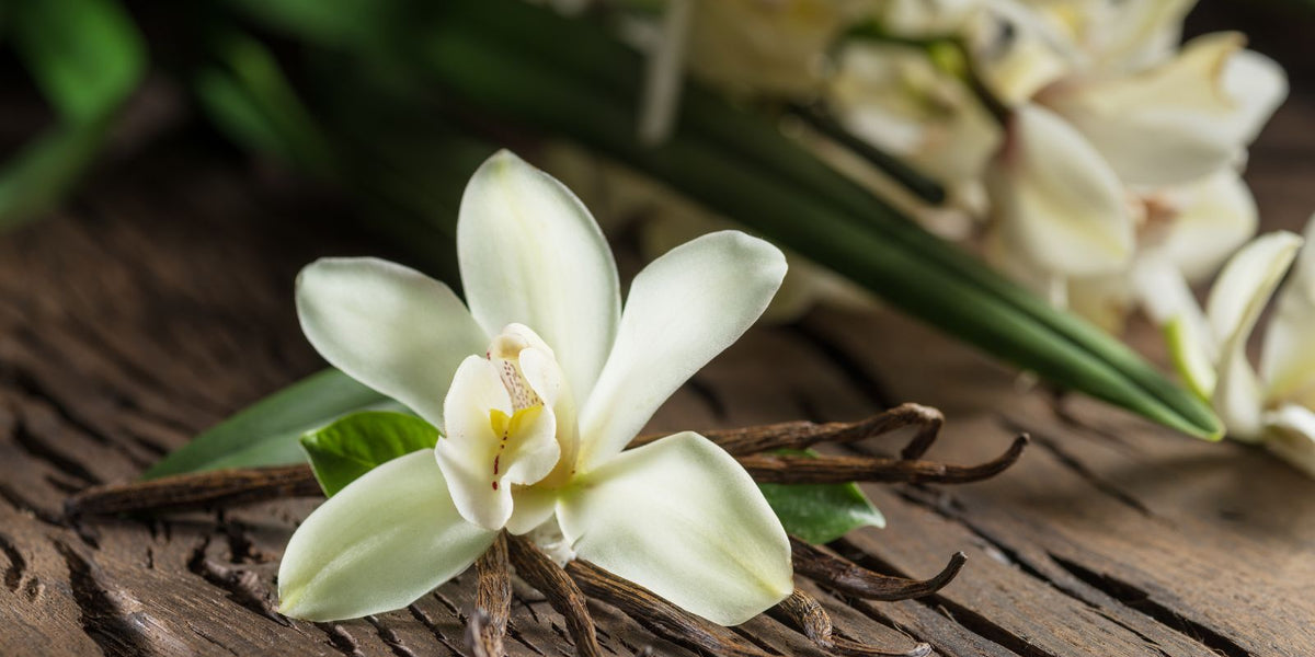 Does Vanilla Extract Have Calories? Know Before You Use