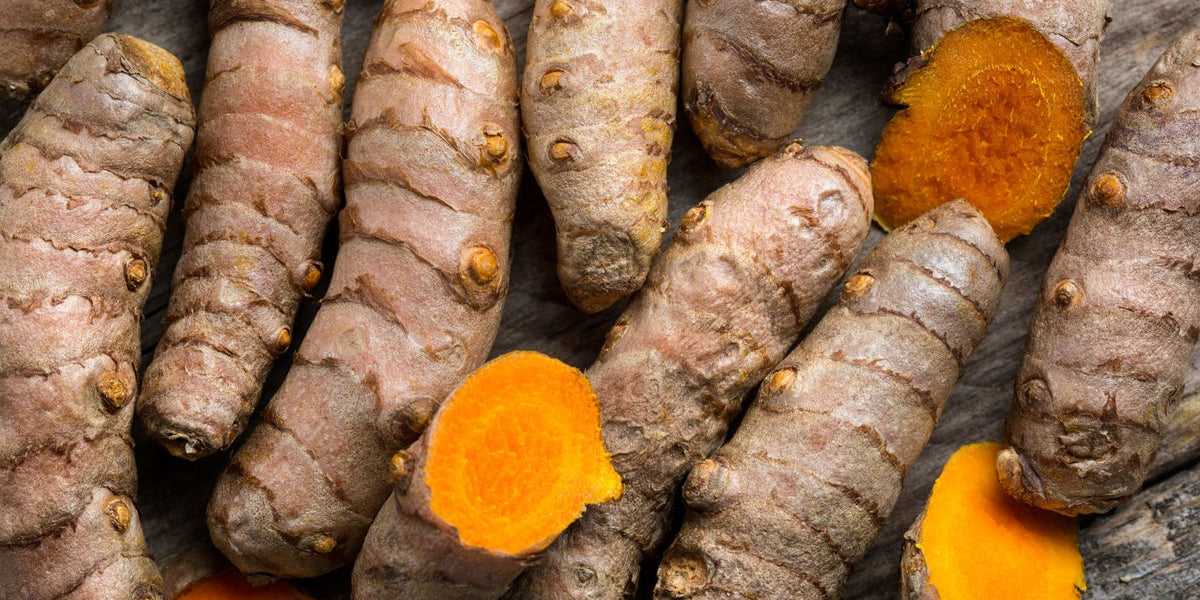 Is Turmeric Spicy? Understand Its Real Flavor and Uses